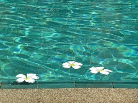 The Benefits Of A Zen Pool Design: Creating A Calming And Relaxing ...